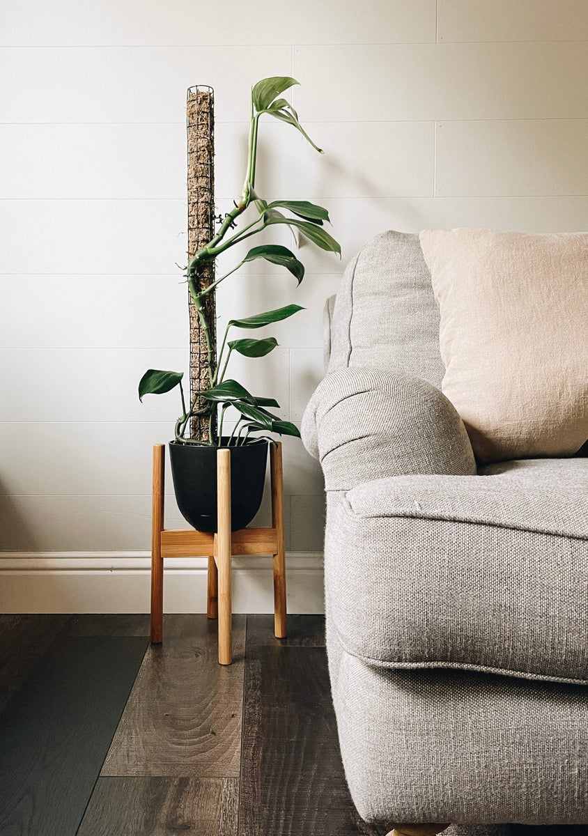 36" Mossi-Pole | Sphagnum Moss Pole – Hip Finds Company